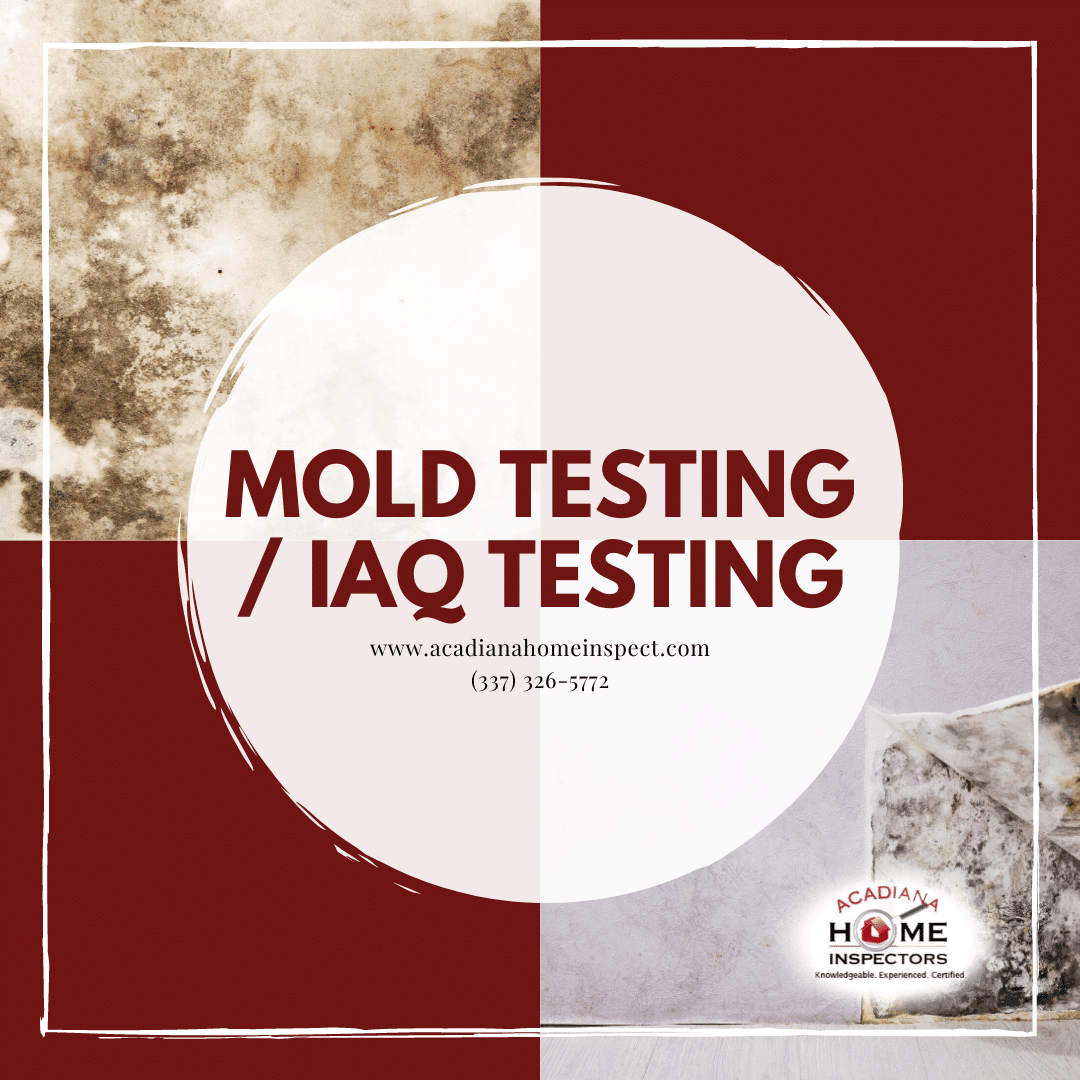 Mold Inspection Lafayette LA